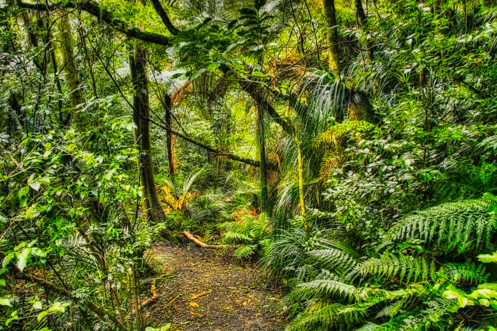 Hiking Mt Eliza Mine Loop – Life at No. 22