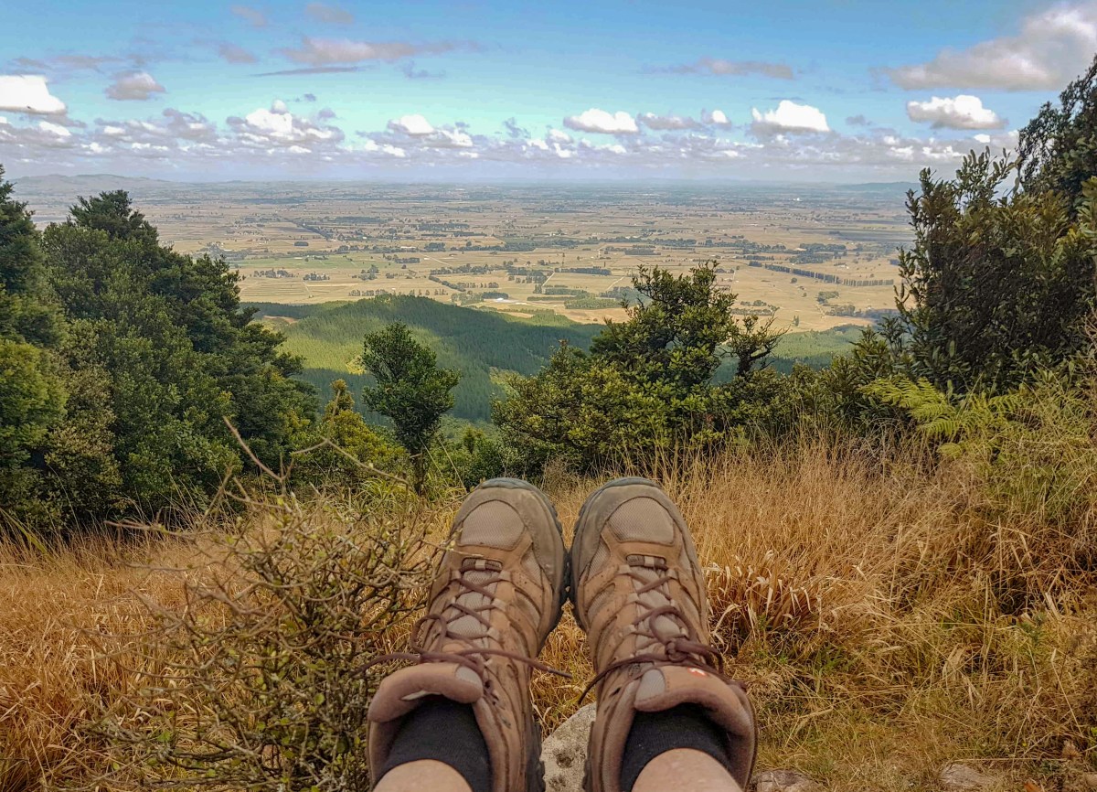 The Tuahu Kauri Trail – Life at No. 22
