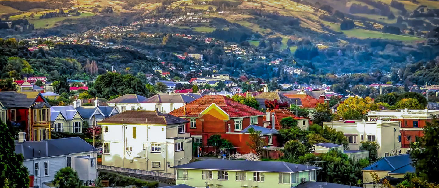 5 Reasons to Visit Dunedin – Life at No. 22