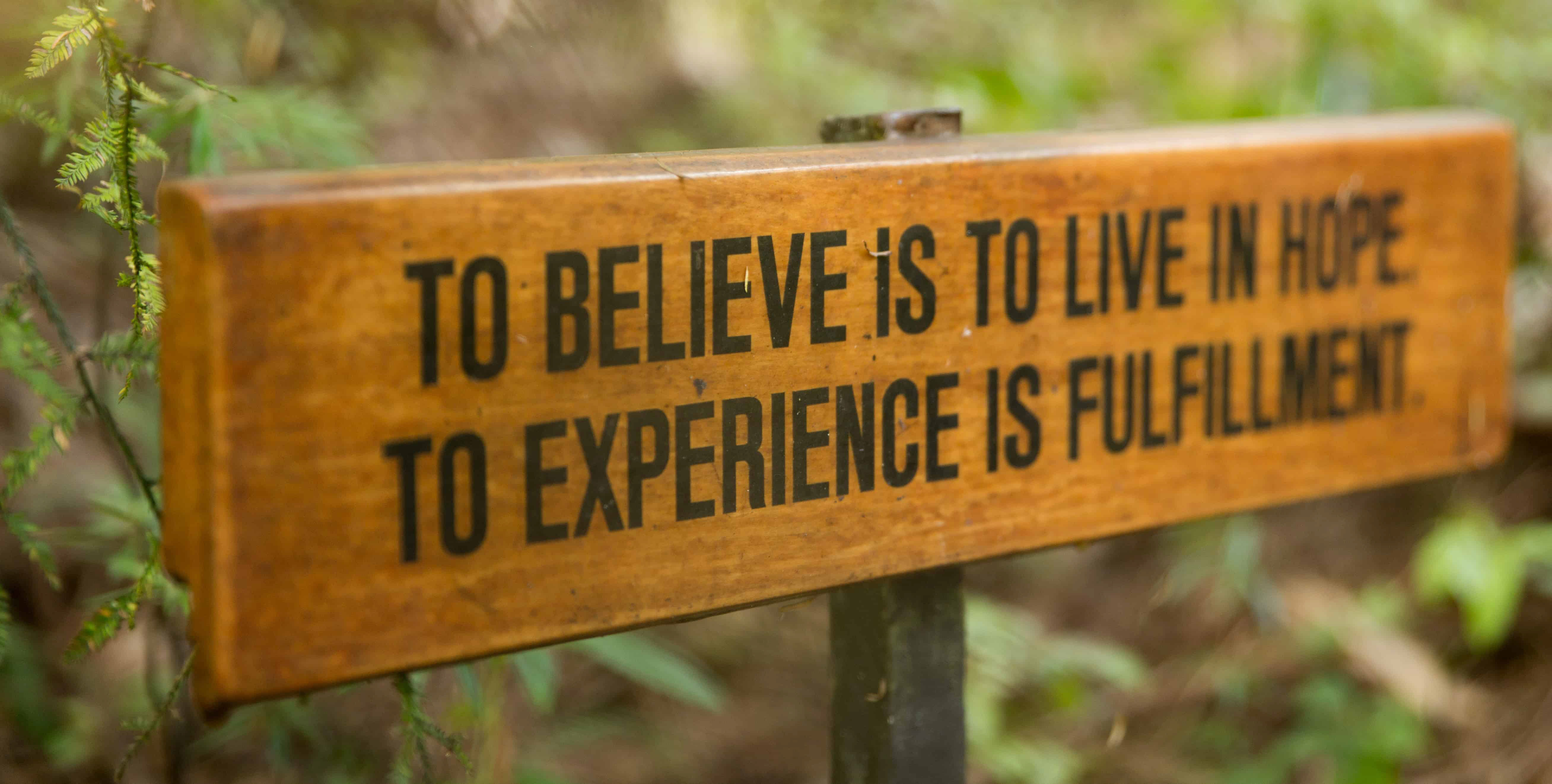 A Neighbourhood Walk – Coromandel – Life at No. 22