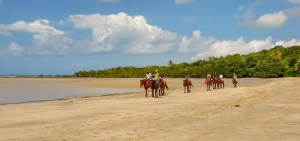 Queensland Roadtrip Pt 2 – The Daintree Rainforest – Life at No. 22