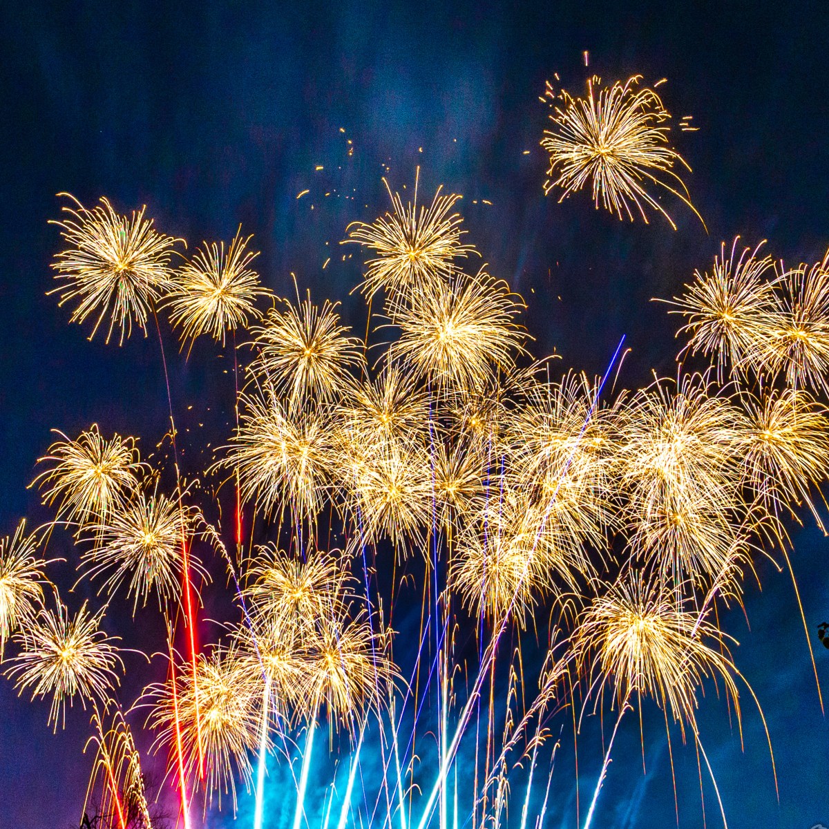 Is it time to ban Fireworks? – Life at No. 22