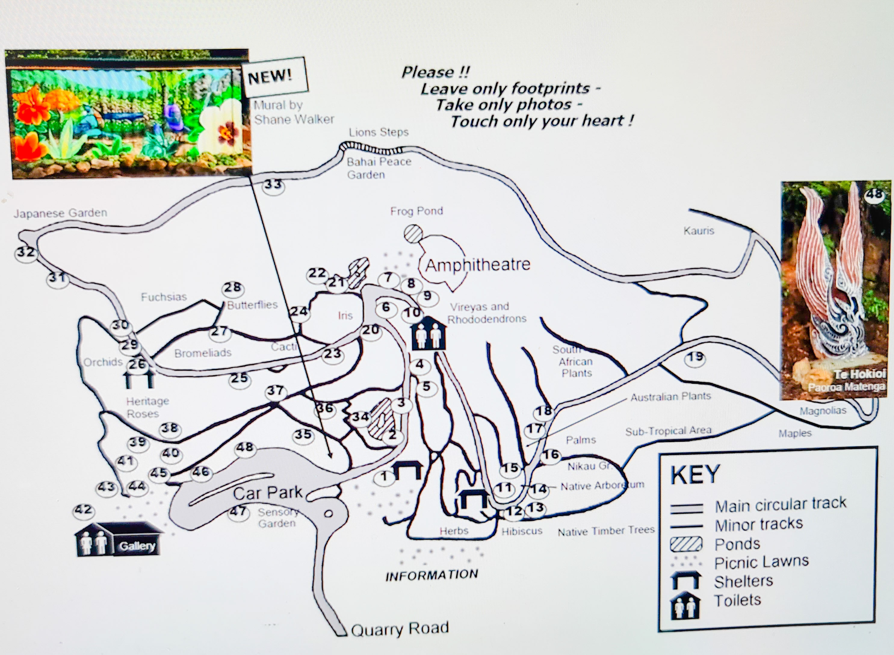 Local Walk – Te Puna Quarry Park – Life at No. 22