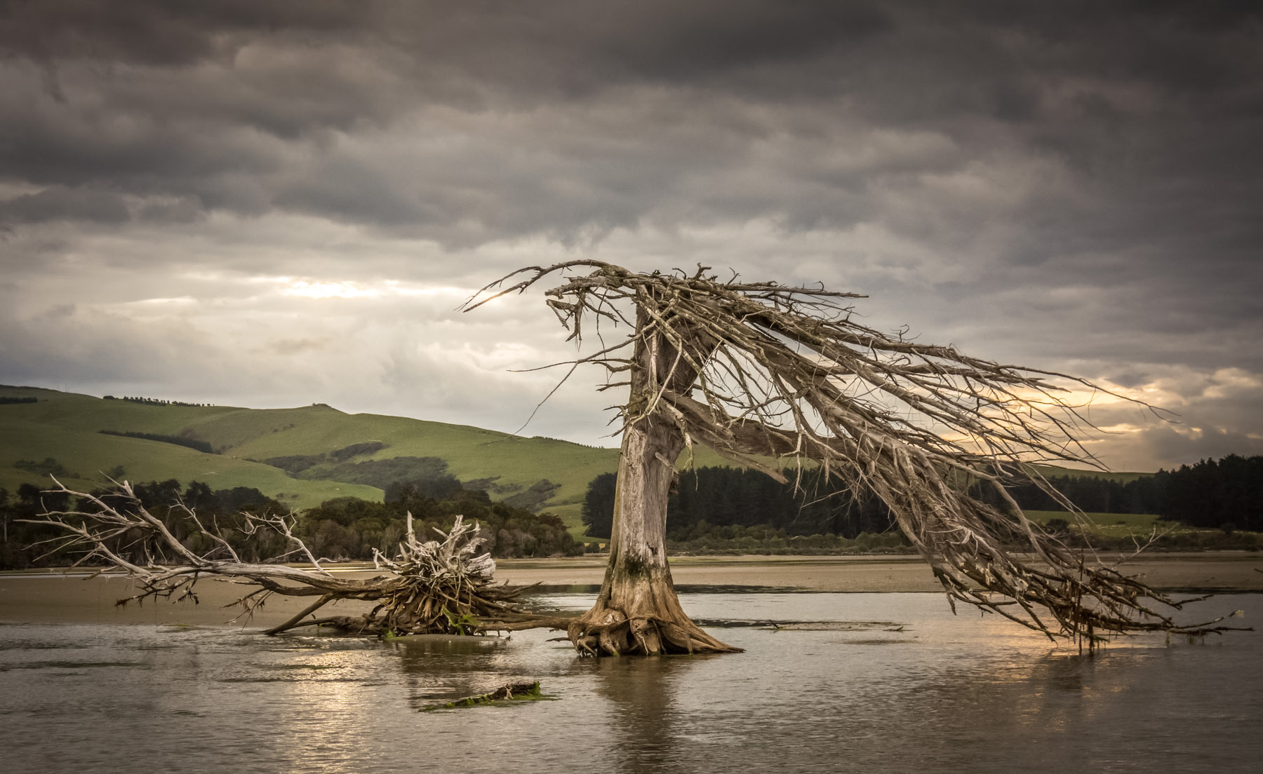 A-Z of NZ Locations – Pounawea Estuary – Life at No. 22