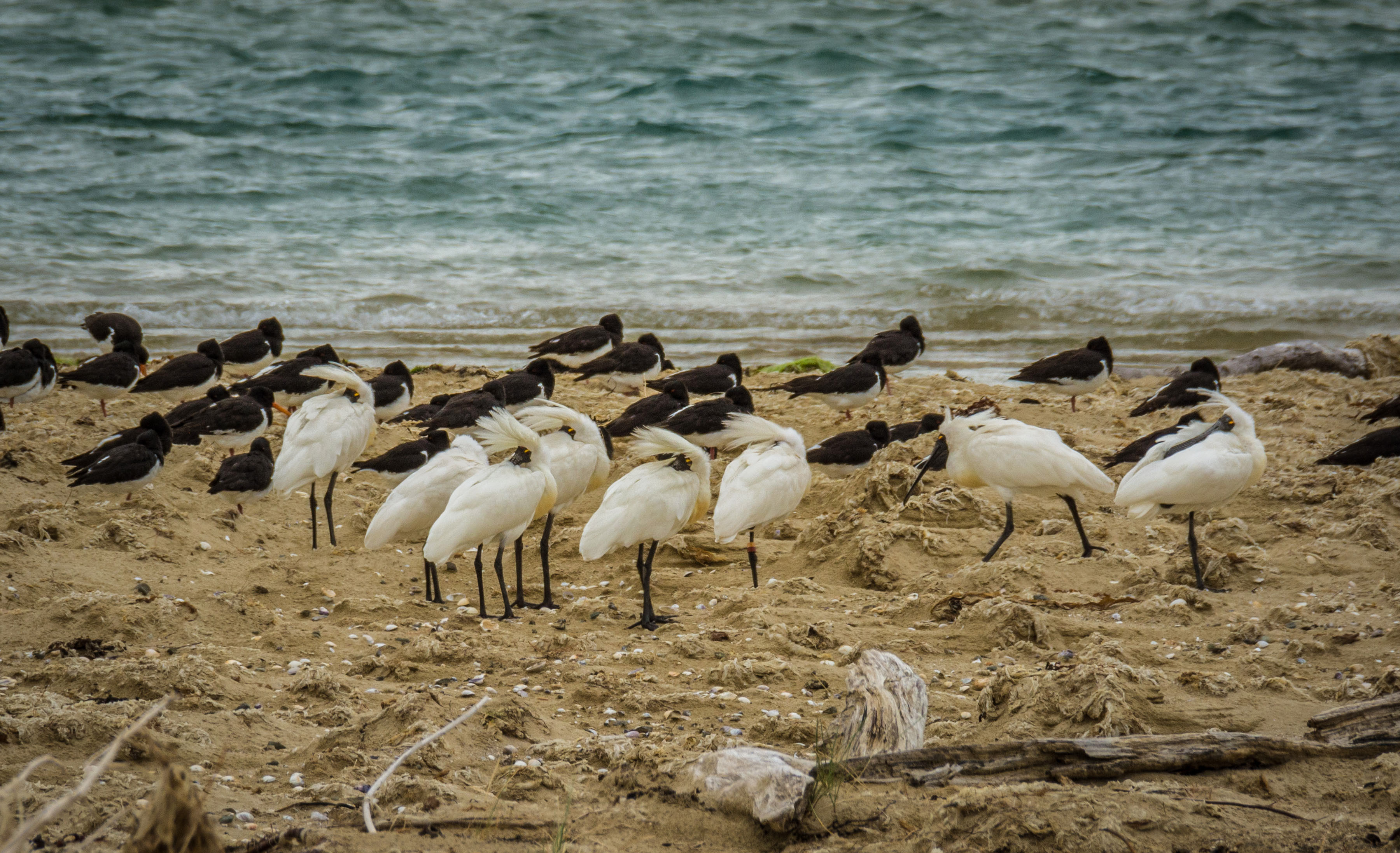 A-Z of NZ Locations – Pounawea Estuary – Life at No. 22