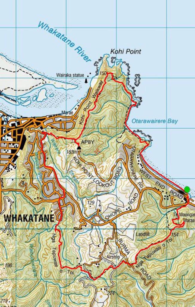 Local Walk – Kohi Point Walkway – Life at No. 22